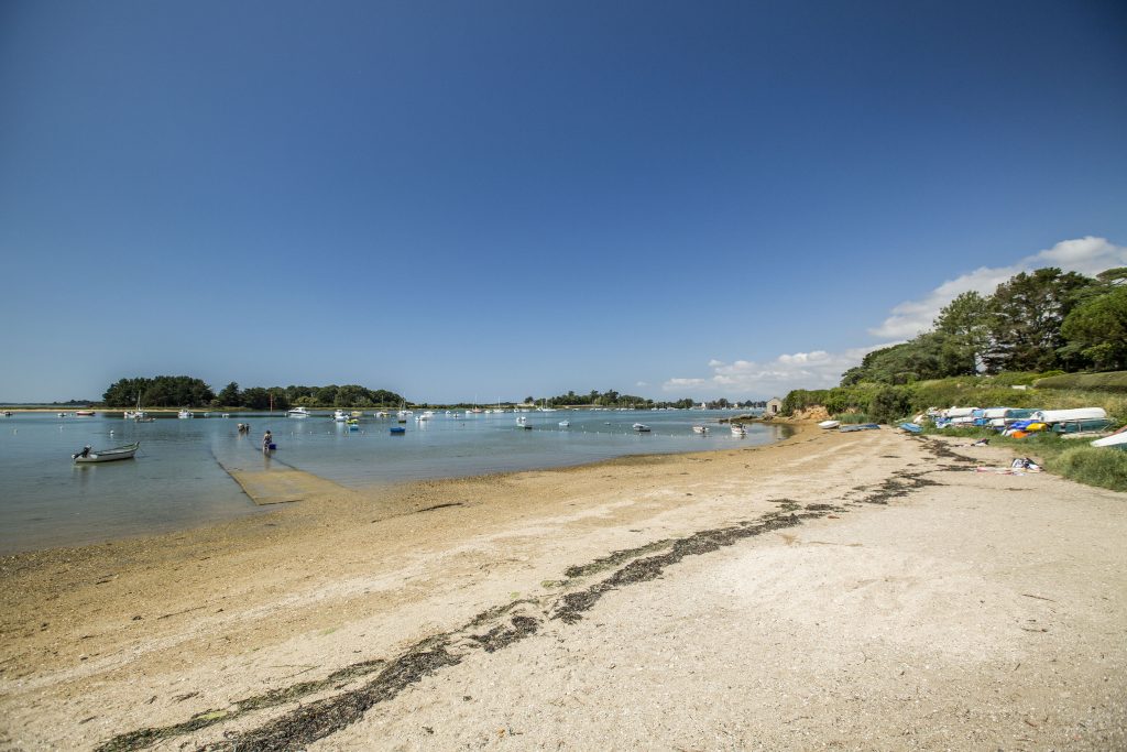 Accueil - Ville de Séné