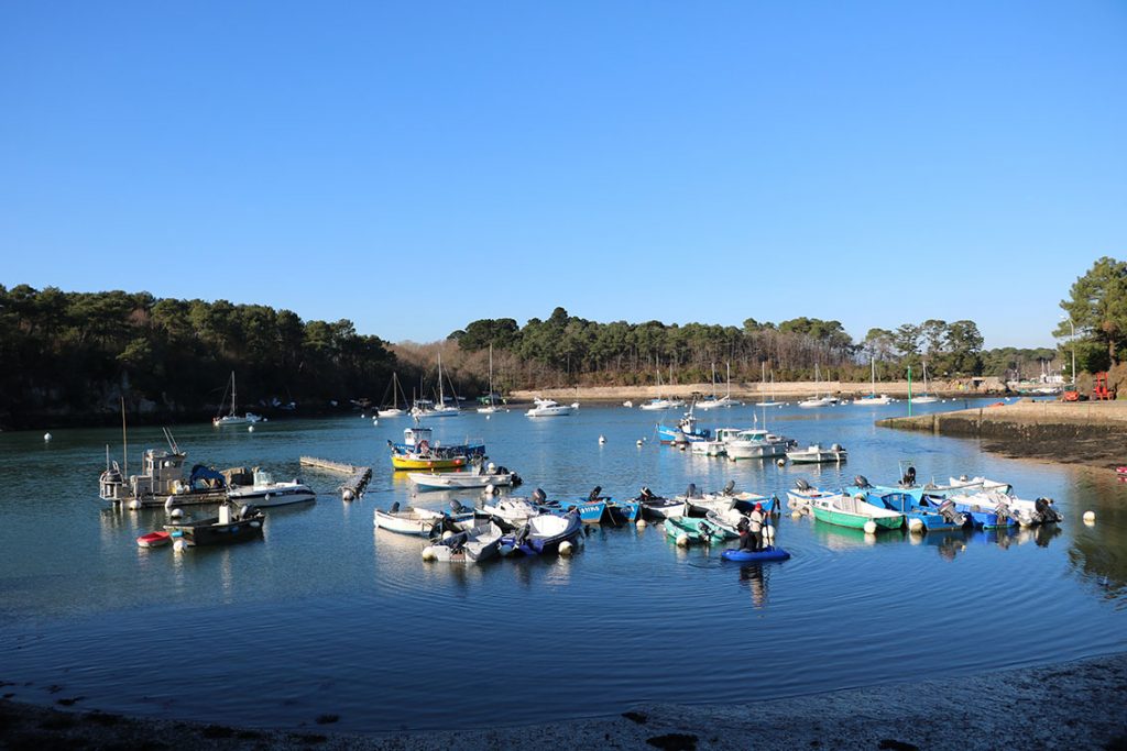 Accueil - Ville de Séné