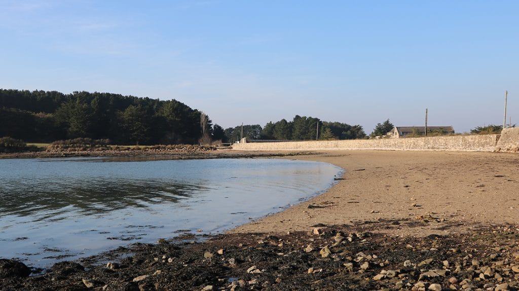 Accueil - Ville de Séné