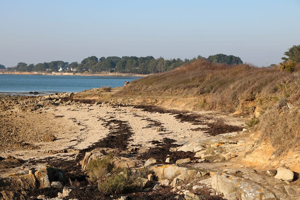 Accueil - Ville de Séné