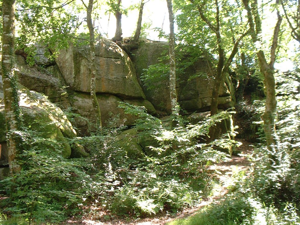 Accueil - Ville de Séné